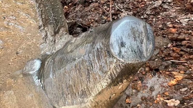 How to Spot Early Bullet Teeth Wear: Prolong Tool Life and Save Costs